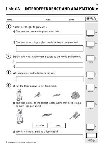 Photosynthesis Unit Science Biology Powerpoints Planning worksheets ...