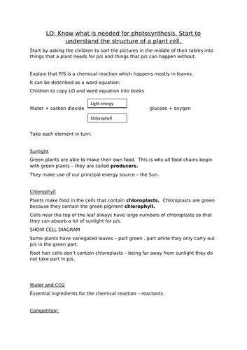 Photosynthesis Unit Science Biology Powerpoints Planning worksheets ...