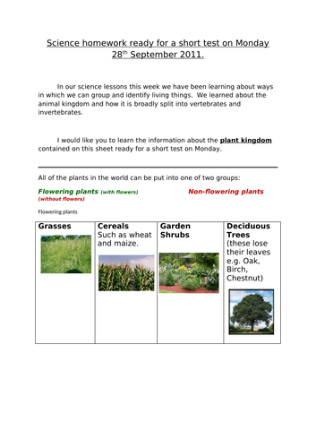 Photosynthesis Unit Science Biology Powerpoints Planning worksheets ...