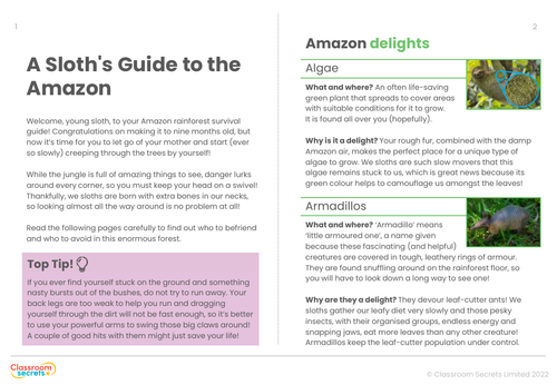 Year 4 Reading Skills - A Sloth's Guide to the Amazon | Teaching Resources