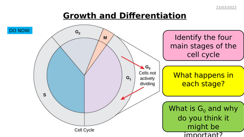 AQA GCSE Biology - B2 Cell Division - PowerPoint pack | Teaching Resources