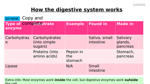 AQA GCSE Biology - B3 Organisation and Digestion - PowerPoint pack ...