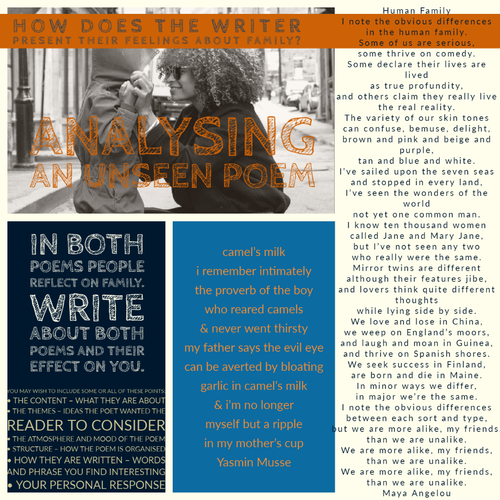 Diversity, Inclusivity, Curriculum Rebalance: LGBTQIA+ & World Writers ...