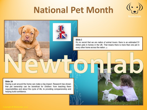 National Pet Month - Key Stage 2 | Teaching Resources