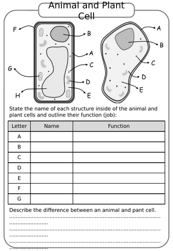 Animal and Plant Cells - KS3 Science (Biology) Worksheets | Teaching ...