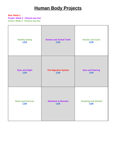 The Human Body Research Tasks (IPC unit: How Human's Work) | Teaching ...