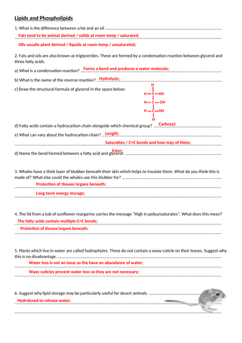 5 worksheets from the Biological Molecules topic for A level - lipids ...