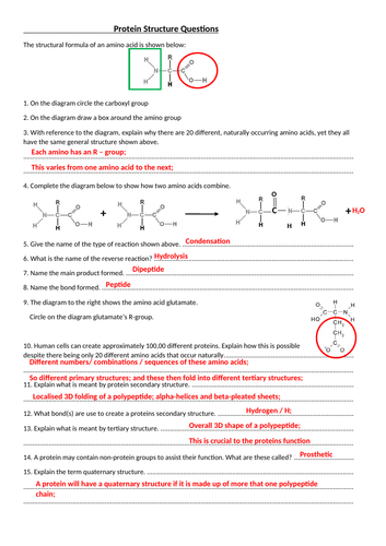 5 worksheets from the Biological Molecules topic for A level - lipids ...