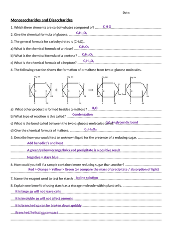5 worksheets from the Biological Molecules topic for A level - lipids ...