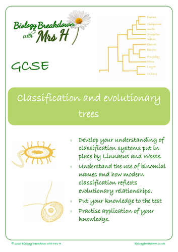 Classification and evolutionary trees | Teaching Resources