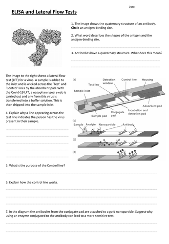 4 Worksheets - 3.2 Cells AQA - mitosis recall / HIV / Antibodies ...