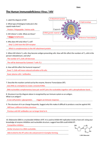 4 Worksheets - 3.2 Cells AQA - mitosis recall / HIV / Antibodies ...