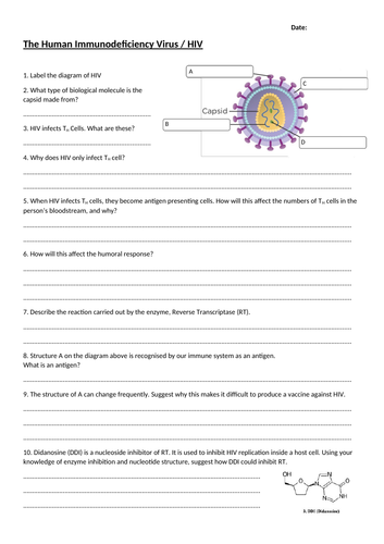 4 Worksheets - 3.2 Cells AQA - mitosis recall / HIV / Antibodies ...