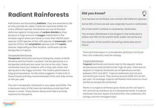 Year 3 Reading Skills - Radiant Rainforests | Teaching Resources