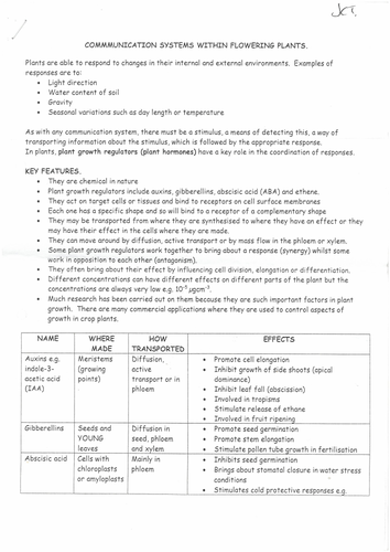 A level Biology OCR- Plant Responses - Plant growth Hormones, Herbivory ...
