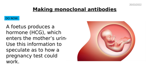 AQA GCSE Biology - B6 Preventing and Treating Disease - PowerPoint pack ...
