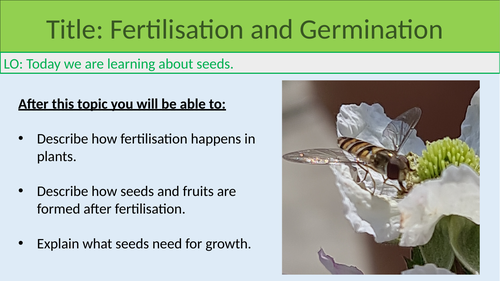 Fertilisation and Germination ~ KS3 ~ Year 7 | Teaching Resources