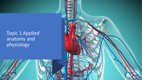 GCSE PE Cardio-Respiratory system | Teaching Resources