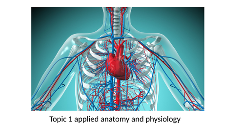 GCSE PE Cardio-Respiratory system | Teaching Resources