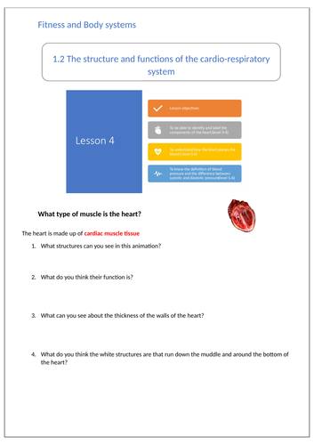 GCSE PE Cardio-Respiratory system | Teaching Resources