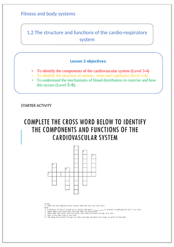 GCSE PE Cardio-Respiratory system | Teaching Resources