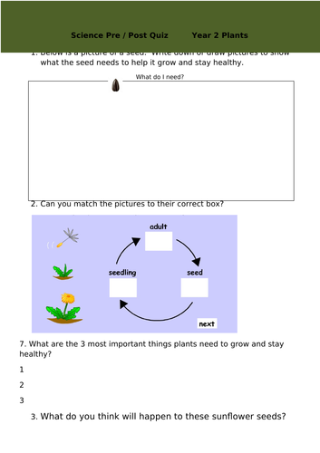 Year 2 Science Plants Pre / Post Quiz | Teaching Resources