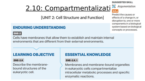 AP Biology Unit 2- complete lessons | Teaching Resources