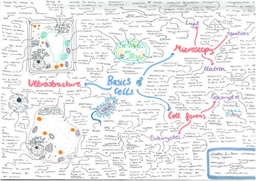 Module 2 Biology Mind-Maps | Teaching Resources