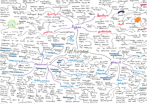 Module 4 Biology Mind-maps | Teaching Resources