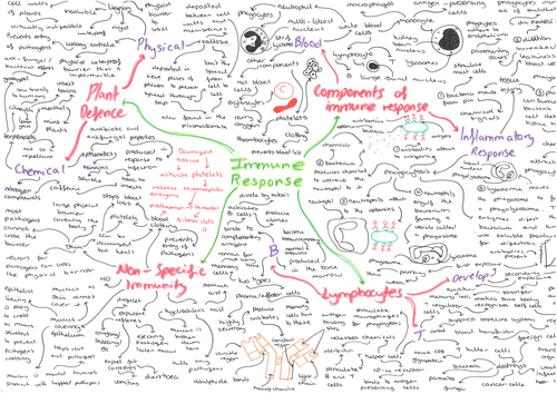 Module 4 Biology Mind-maps | Teaching Resources