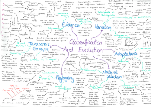Module 4 Biology Mind-maps | Teaching Resources