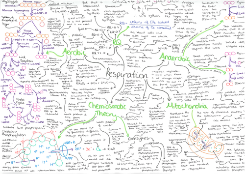 Module 5 Biology Mind-maps | Teaching Resources