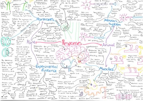 Module 5 Biology Mind-maps | Teaching Resources