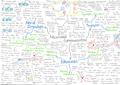 Module 5 Biology Mind-maps | Teaching Resources