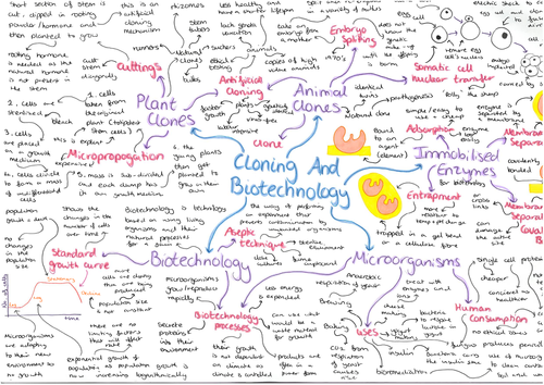 Module 6 Biology Mind-maps | Teaching Resources