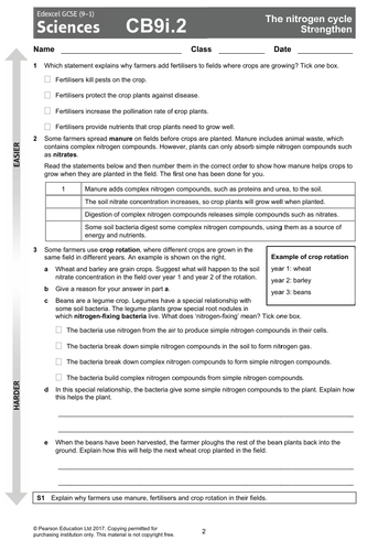 Edexcel CB9i The Nitrogen Cycle KS4 Lesson | Teaching Resources