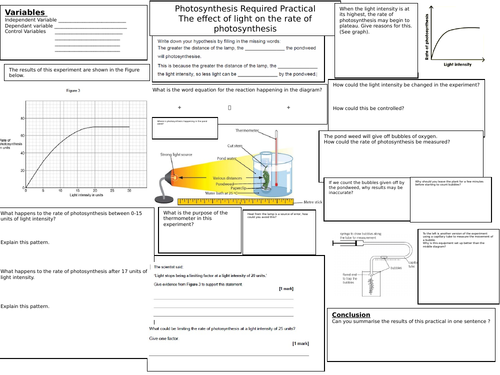 Photosynthesis GCSE Required Practical Biology | Teaching Resources