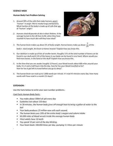 Human Body Maths Problem Solving UKS2 | Teaching Resources