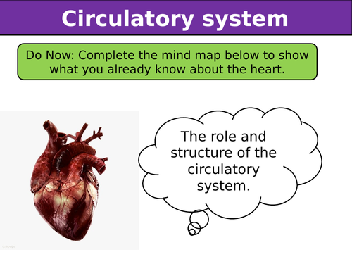 The heart and blood vessels | Teaching Resources