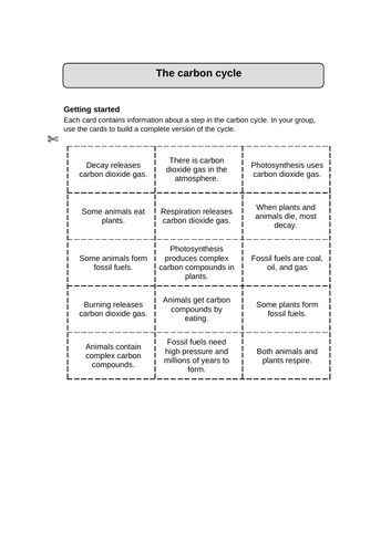 NEW AQA Topic 7 - Ecology Carbon and Water Cycle Combined Higher ...