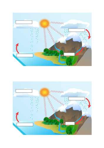 NEW AQA Topic 7 - Ecology Carbon and Water Cycle Combined Higher ...