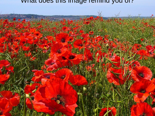 Poetry - Poppies (Weir) - full lesson on poem analysis for AQA Eng Lit ...