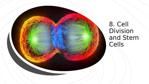 WJEC Cell division and stem cells | Teaching Resources
