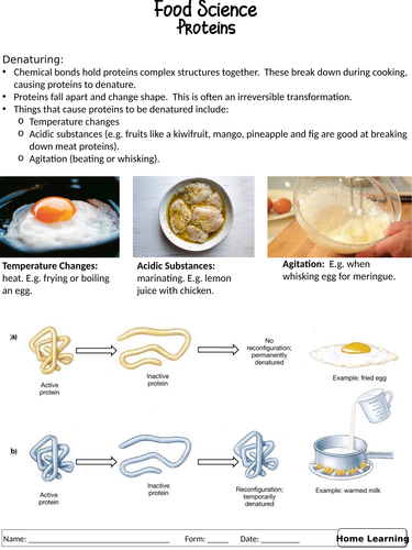 Food Science GCSE Food AQA | Teaching Resources