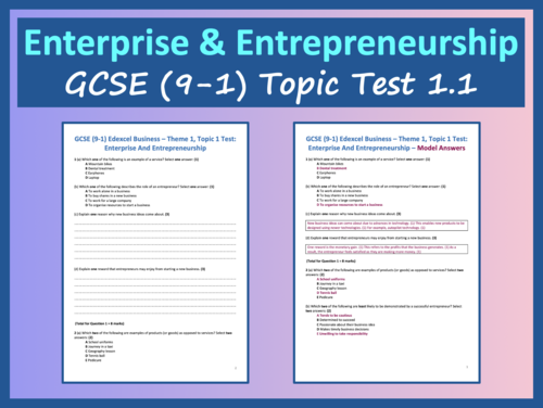 Enterprise and Entrepreneurship Topic Test [1.1] - GCSE (9-1) Business ...
