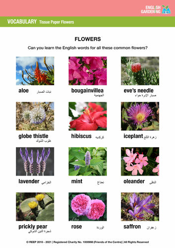 EAL Activities - learning the names of different flowers | Teaching ...