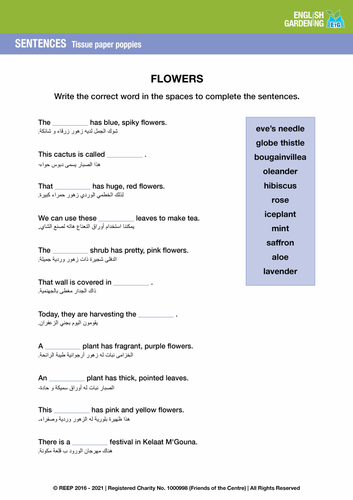 EAL Activities - learning the names of different flowers | Teaching ...