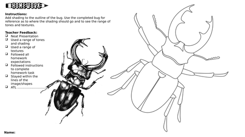 Bugs Full scheme of work | Teaching Resources