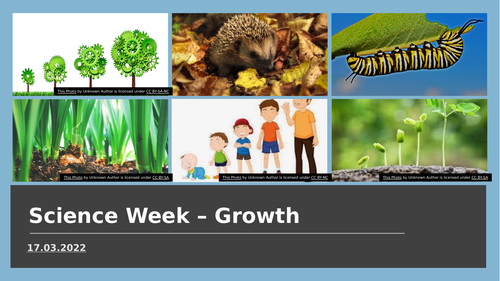 Climate change lesson - penguins | Teaching Resources