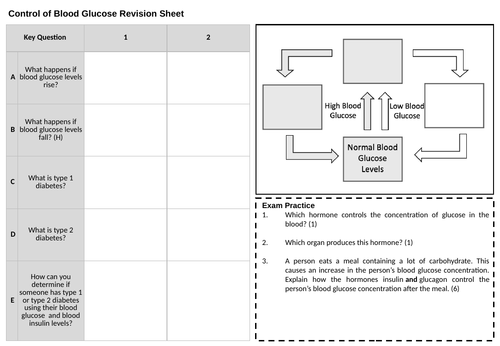 AQA GCSE Control of Blood Glucose Revision Session | Teaching Resources